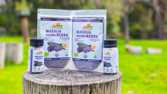 Mashua Negra – Valle Andino